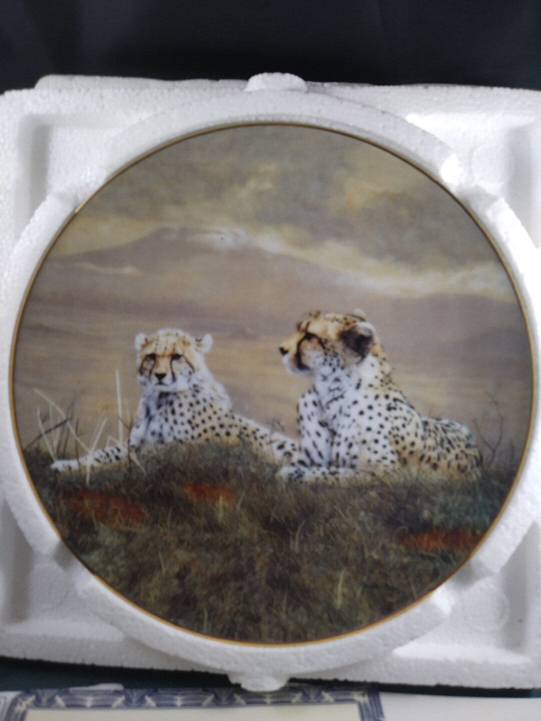 Charles Frace Grand Safari Images of Africa Collector Plate "a Moments ...