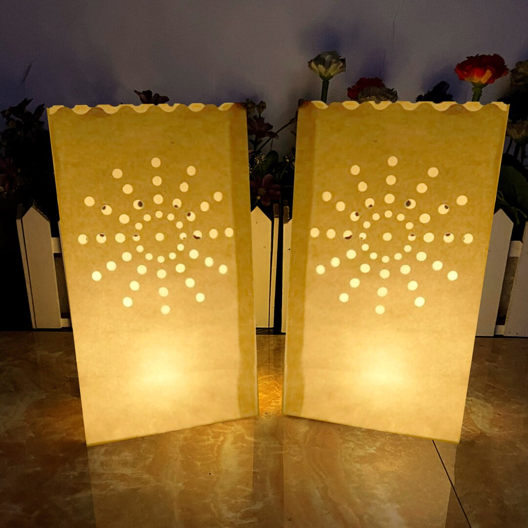 Light up Paper Bags Kit-50 Pack of Luminaries for Aisle Decorations ...