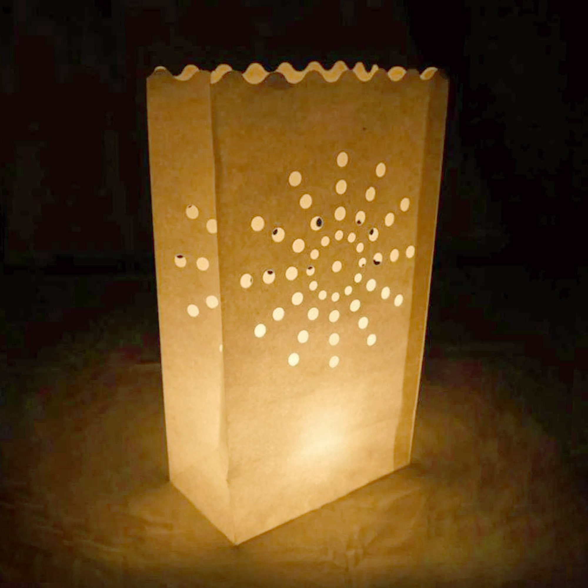 Light up Paper Bags Kit-50 Pack of Luminaries for Aisle - Etsy