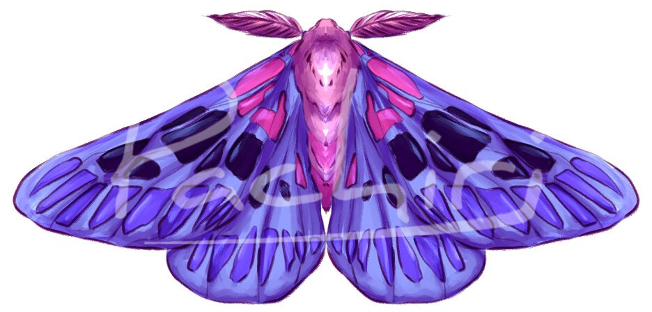 LGBTQ Omnisexual Subtle Pride Flag Moth Sticker - Etsy