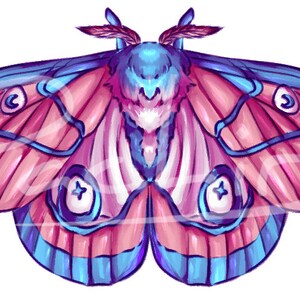 LGBTQ+ Transgender Subtle Pride Flag Moth Sticker - Etsy