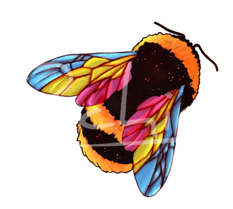 LGBTQ Pride Flag Pansexual Bee Sticker - Etsy