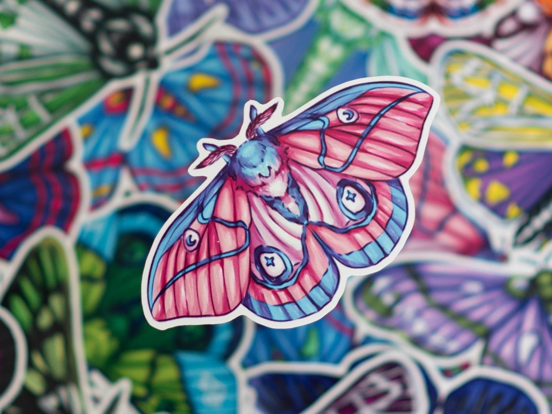 LGBTQ+ Transgender Subtle Pride Flag Moth Sticker - Etsy