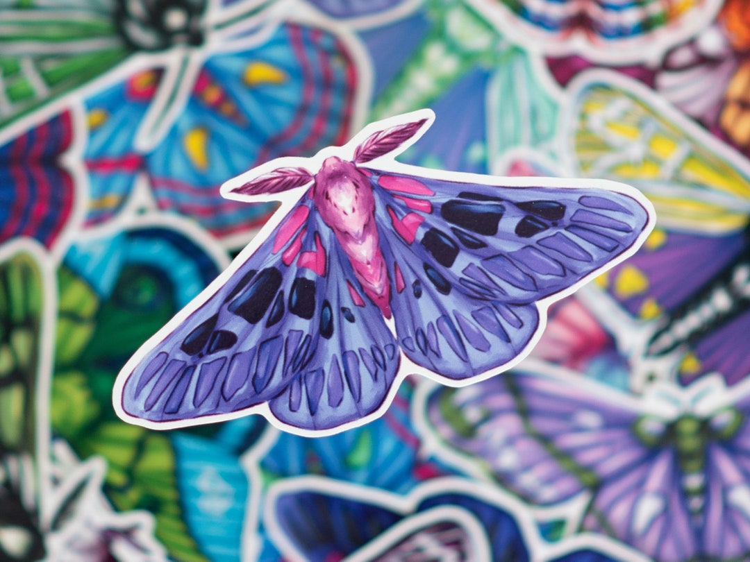LGBTQ Omnisexual Subtle Pride Flag Moth Sticker - Etsy
