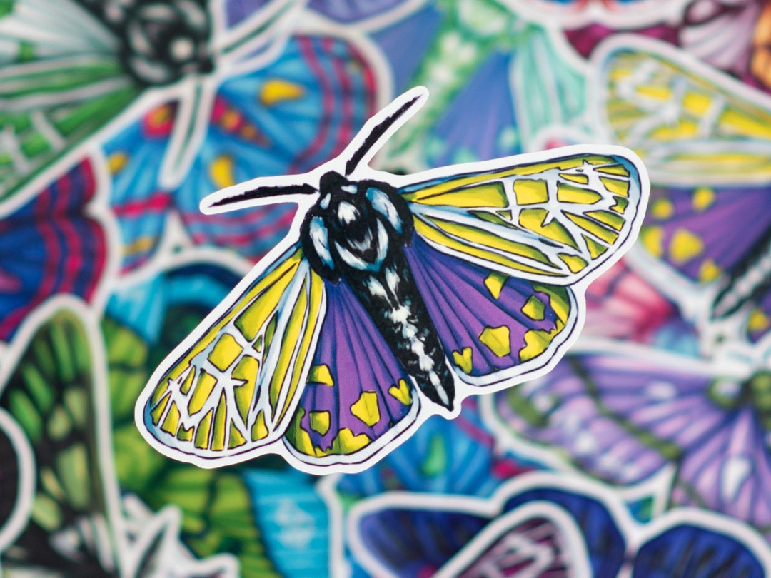 LGBTQ+ Non Binary Subtle Pride Flag Moth Sticker - Etsy