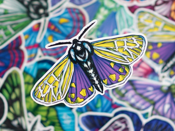 LGBTQ Non Binary Subtle Pride Flag Moth Sticker - Etsy