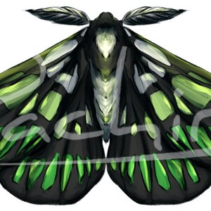 LGBTQ+ Aromantic Subtle Pride Flag Moth Sticker - Etsy