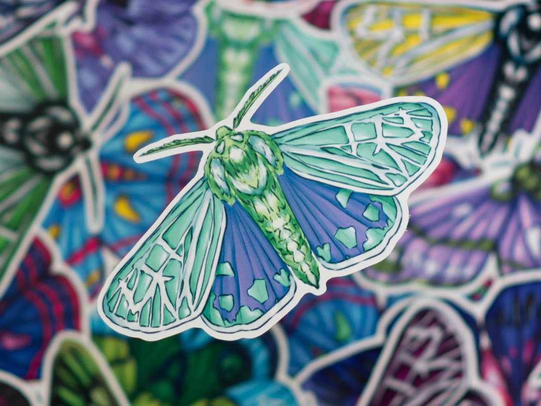 LGBTQ Unlabeled Gender Subtle Pride Flag Moth Sticker - Etsy New Zealand