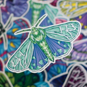 LGBTQ Unlabeled Gender Subtle Pride Flag Moth Sticker - Etsy