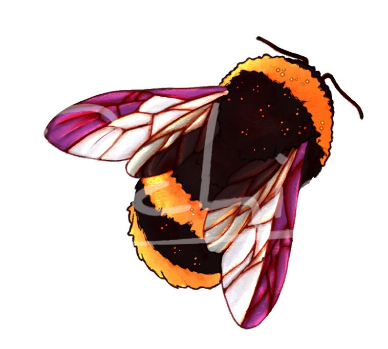 LGBTQ Pride Flag Asexual Bee Sticker | Etsy