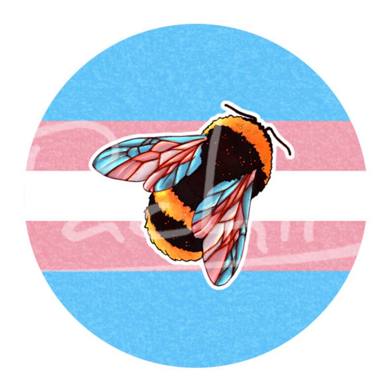 LGBTQ Pride Flag Bumble Bee Buttons 32mm - Etsy