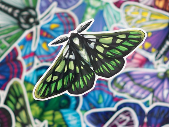 LGBTQ Aromantic Subtle Pride Flag Moth Sticker - Etsy