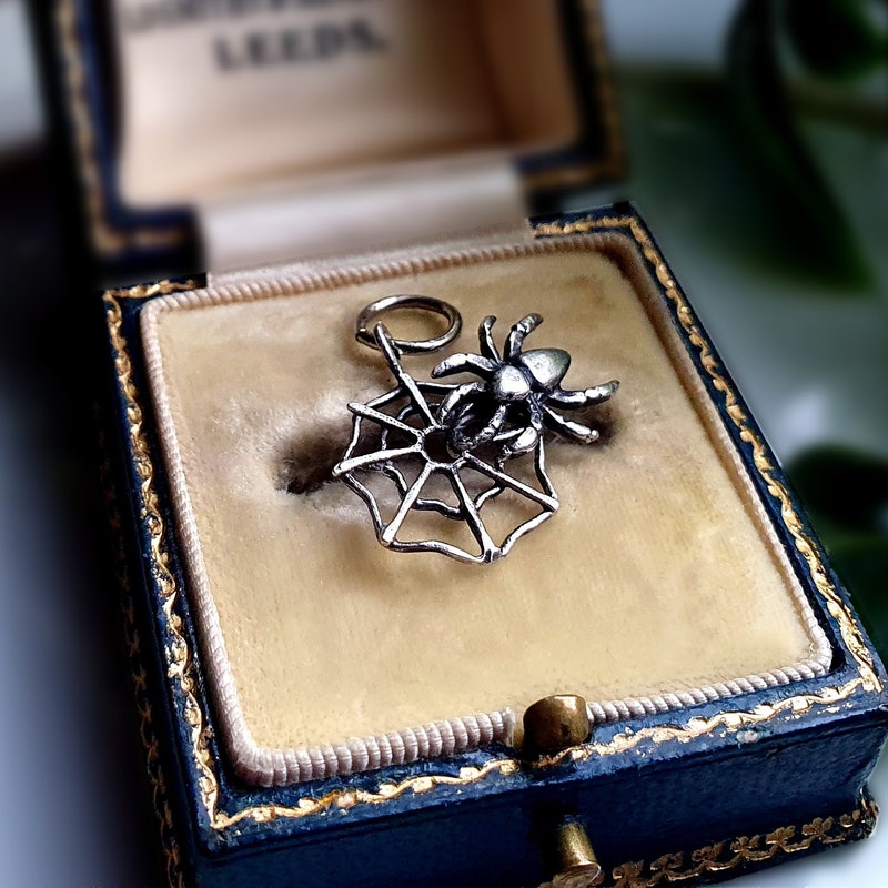 Spider and Fly Sterling - Etsy UK