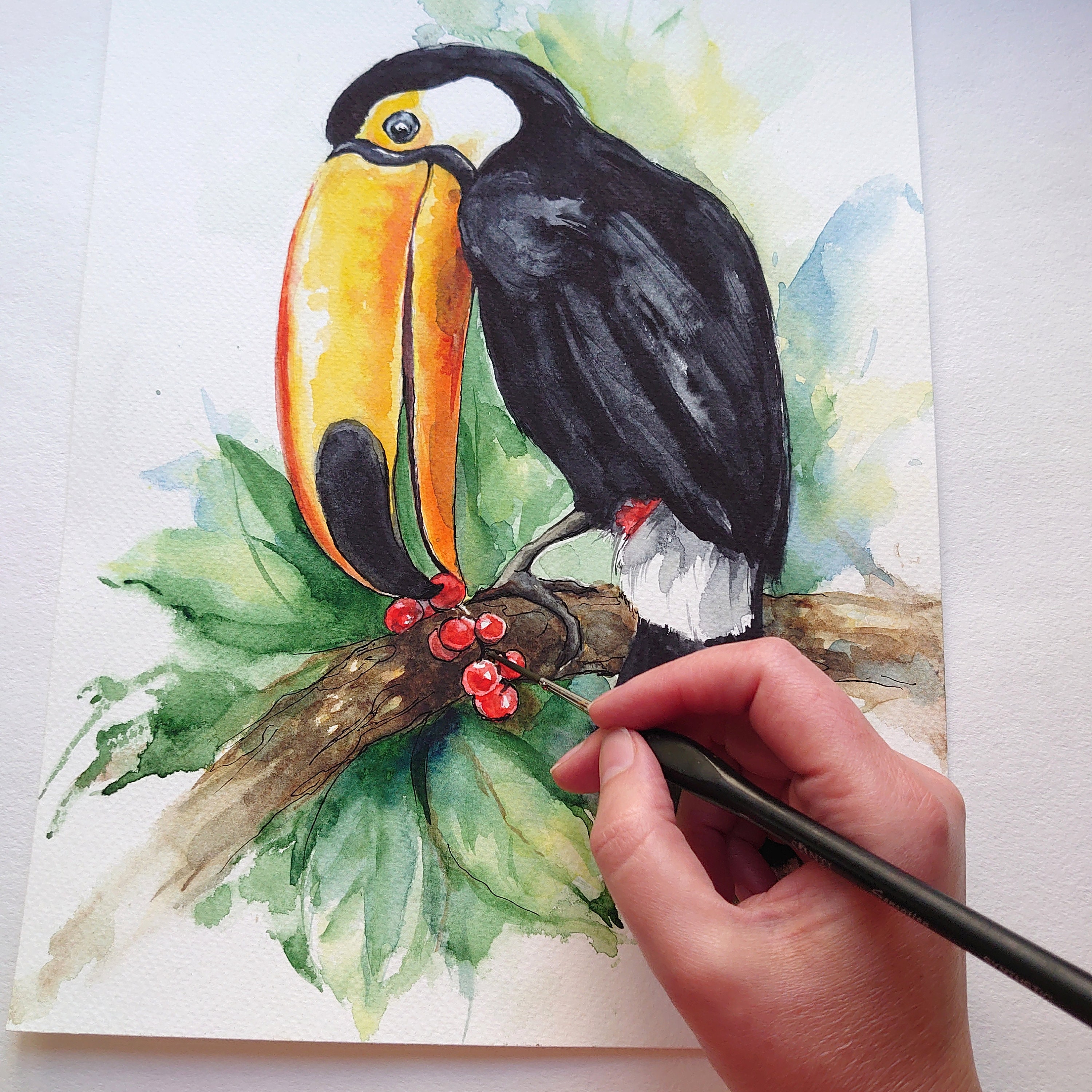 Toco Toucan Drawing