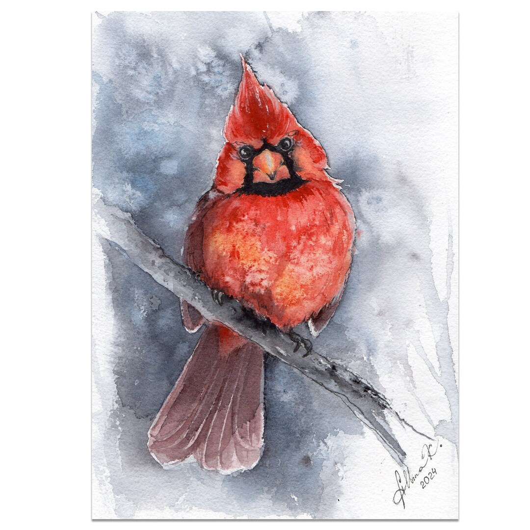 Cardinal Watercolor Painting. Northern Red Cardinal Original Art for ...