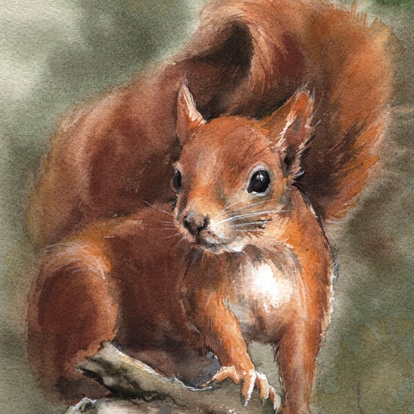 Squirrel Painting - Etsy