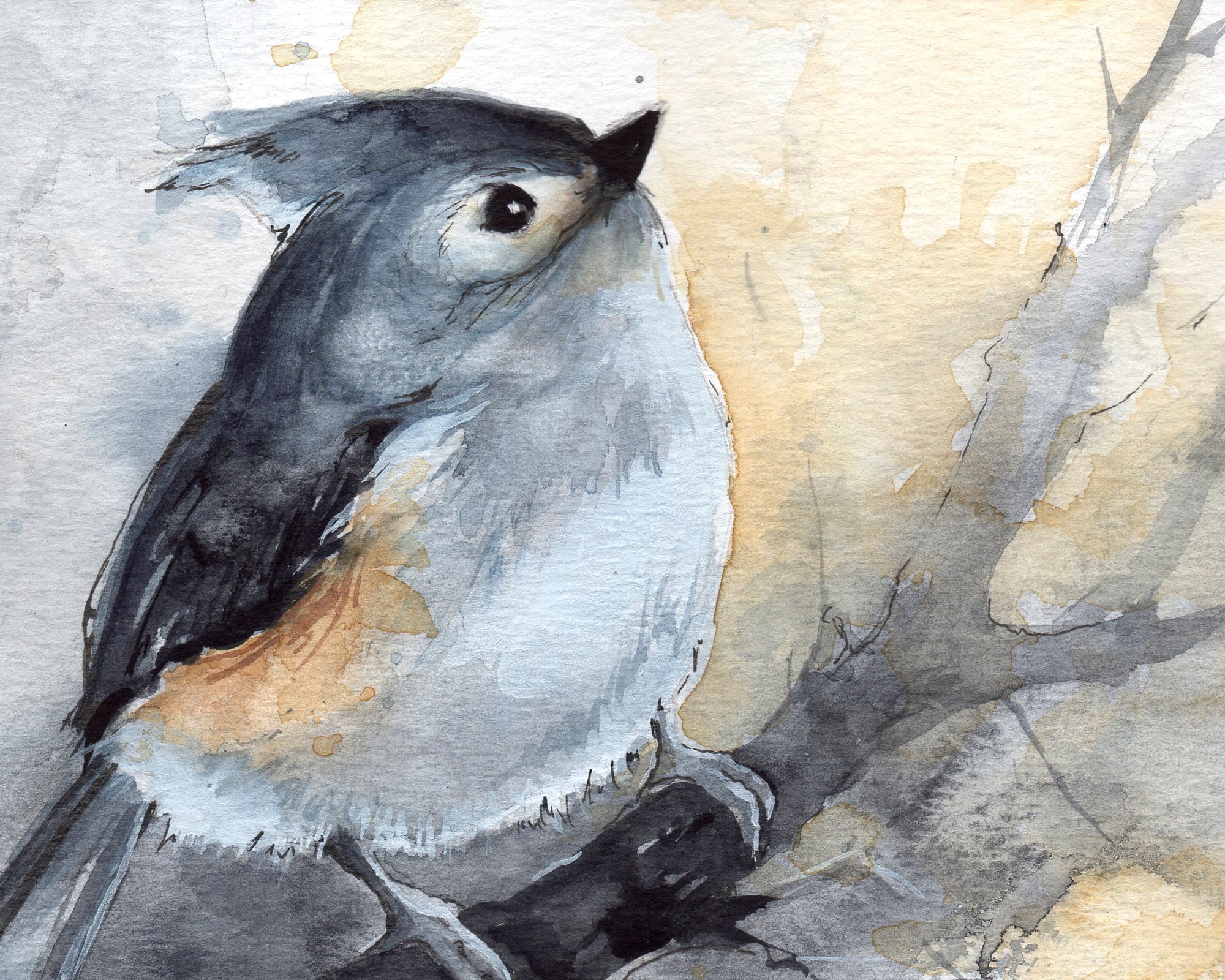 Titmouse Bird Art Bird Painting Watercolor Tufted Titmouse - Etsy