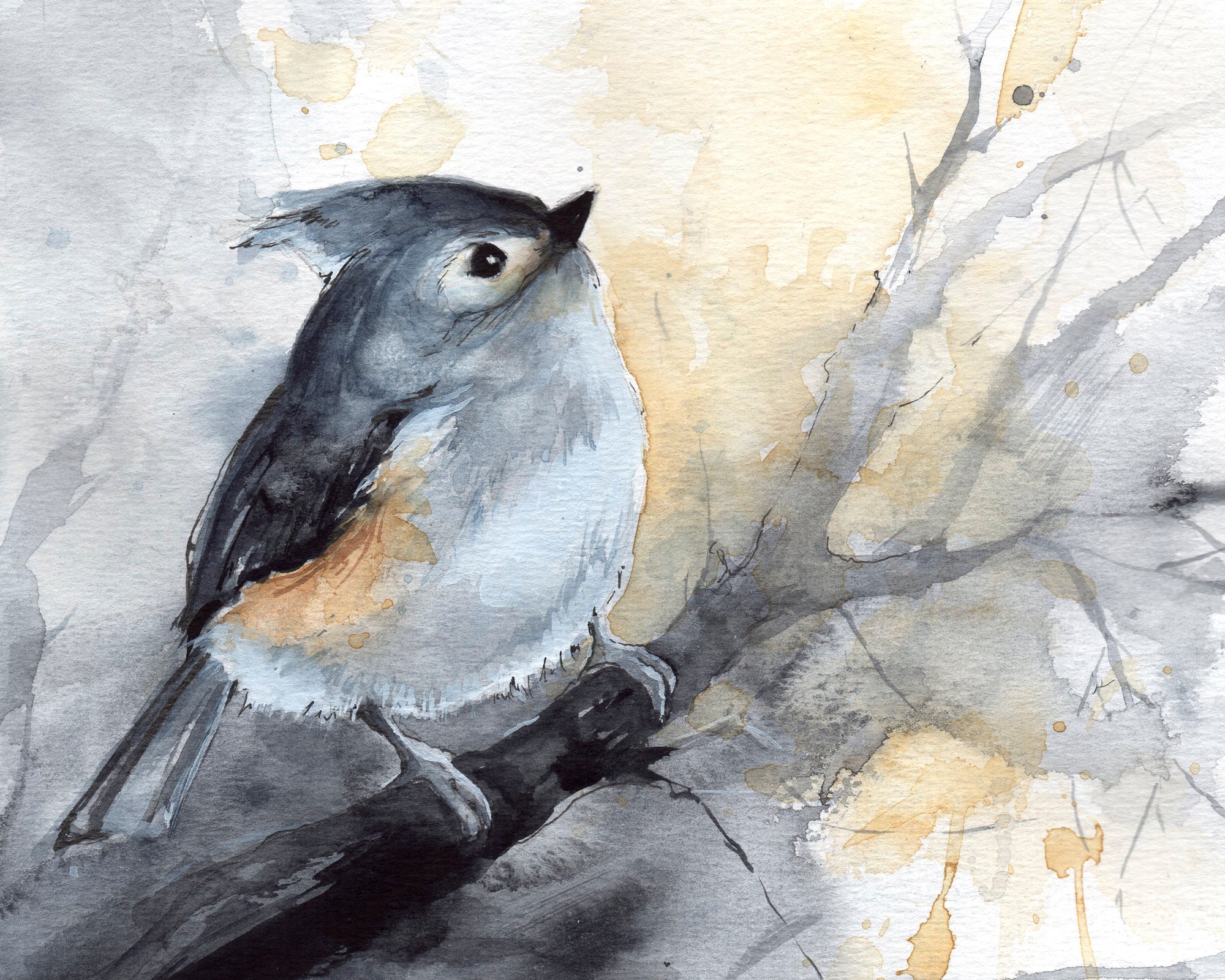 Titmouse Bird Art Bird Painting Watercolor Tufted Titmouse - Etsy