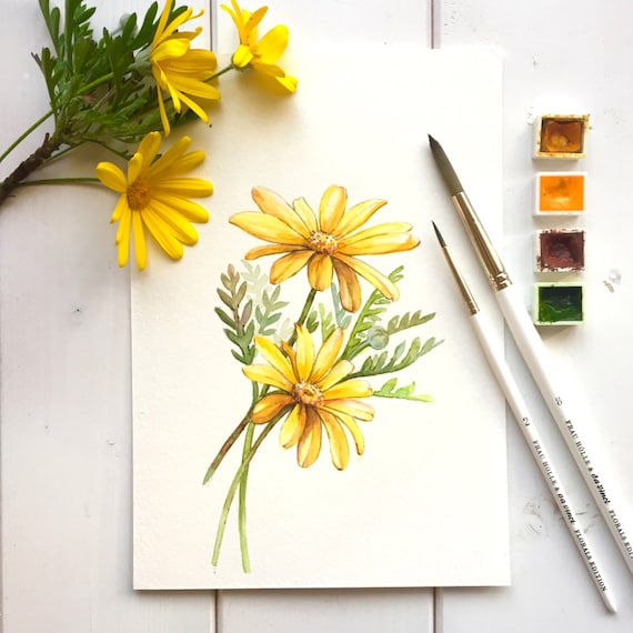 Yellow Daisy Flower Drawing