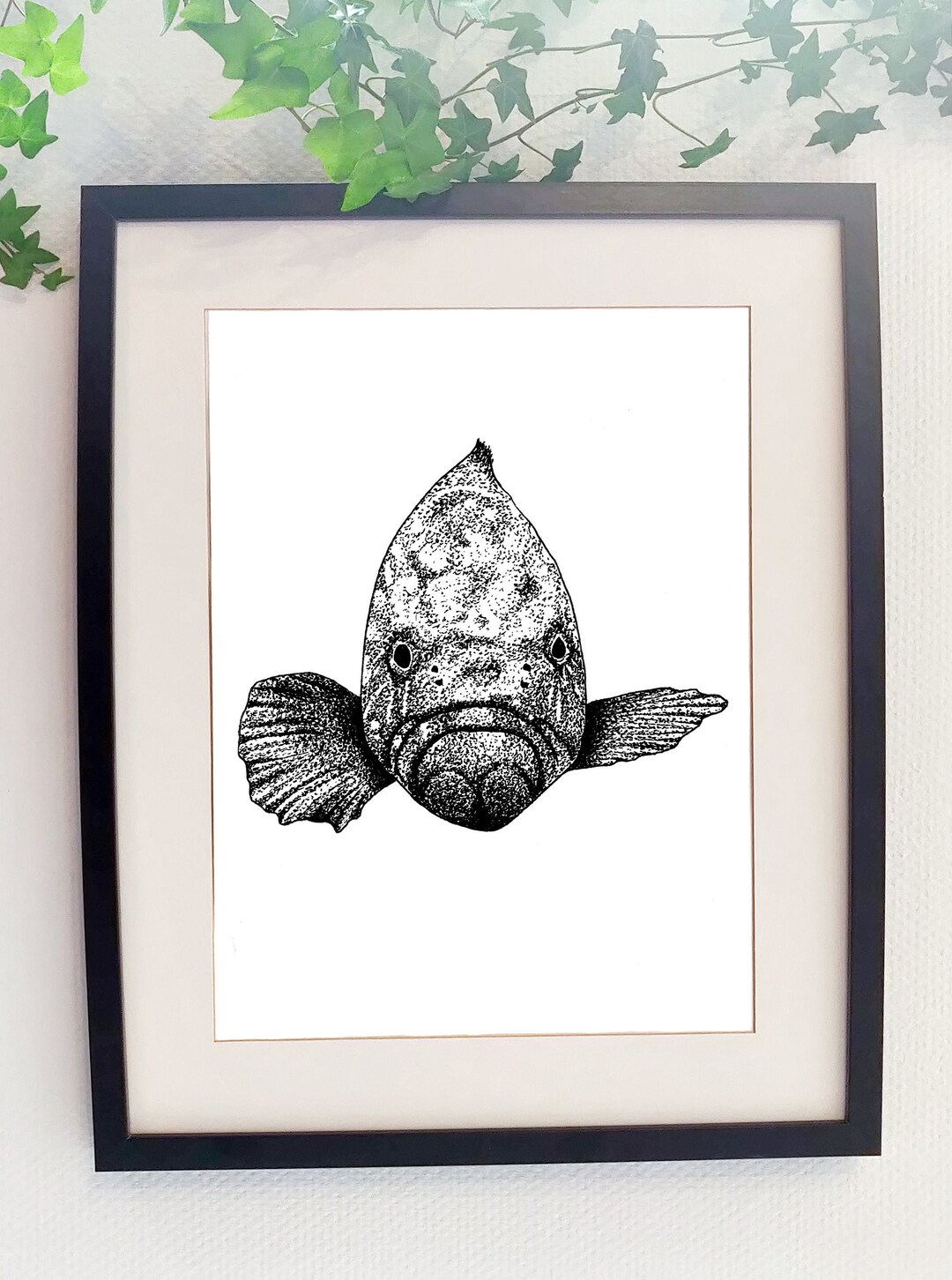 Poster Grouper Print Mediterranean Grouper Mediterranean Fish - Etsy