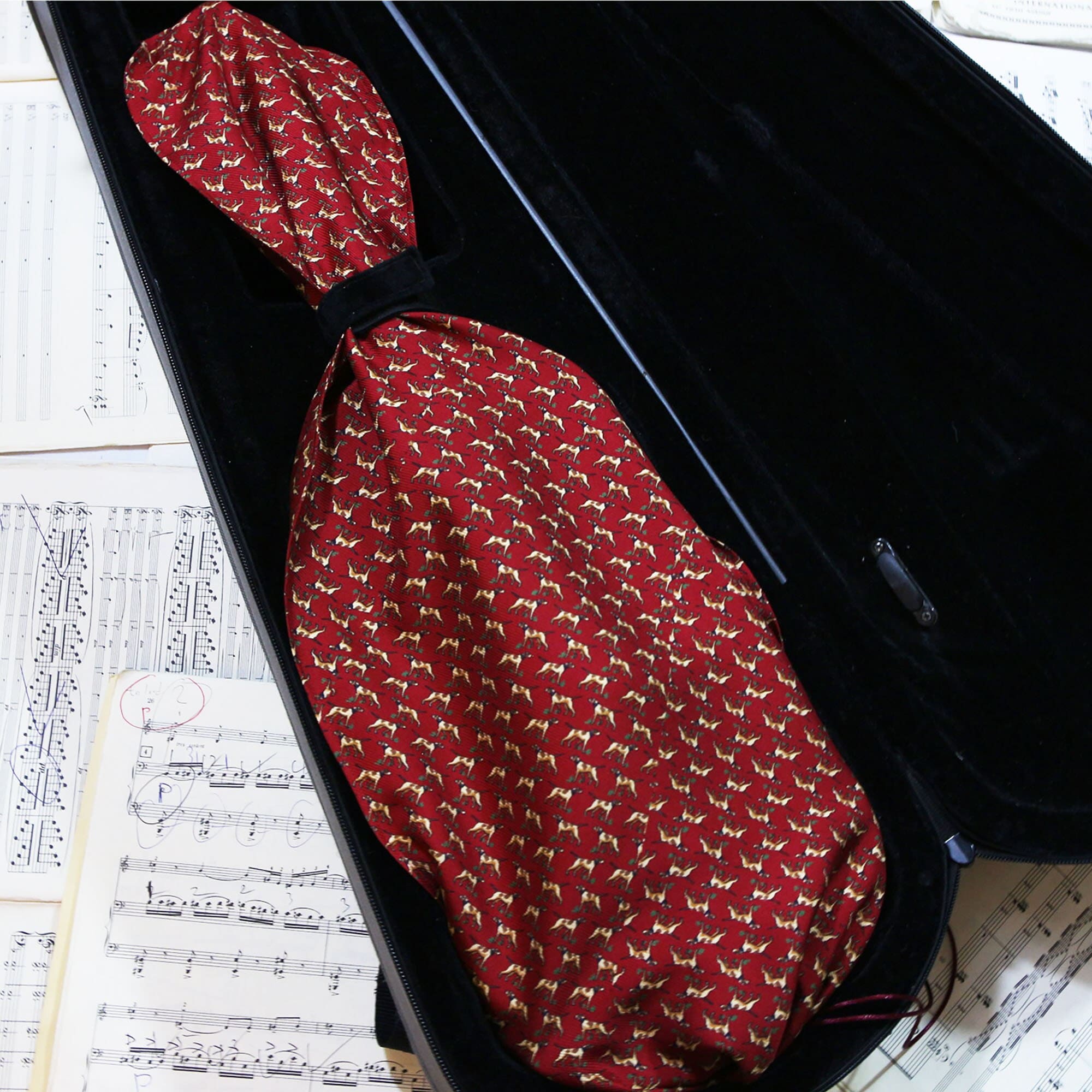 Silk Violin Bag: Protective Instrument Case, Gift for Violinist - Etsy