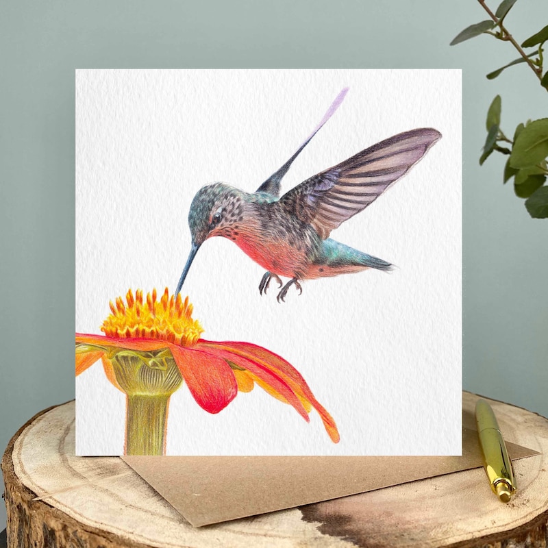 Hummingbird Card - Etsy