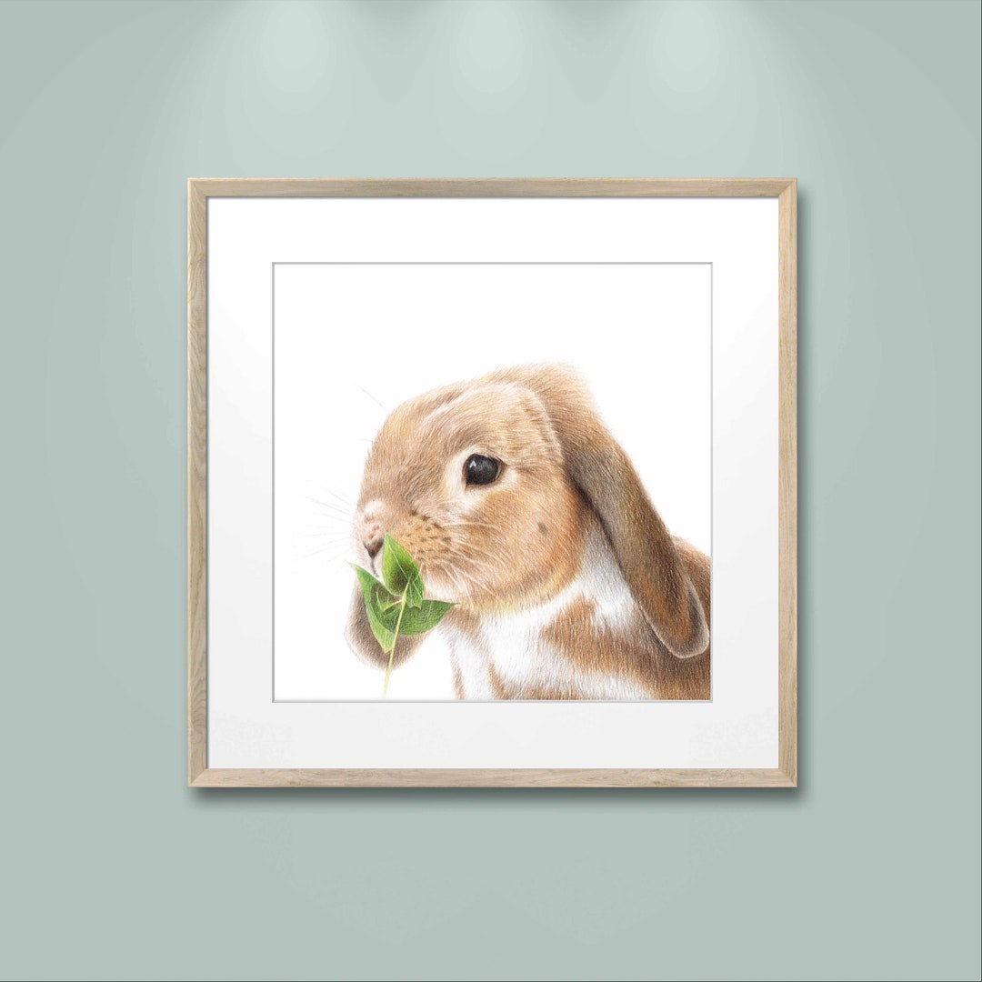 Bunny Rabbit Art Print | Bunny Rabbit Print | Bunny Rabbit Mounted ...