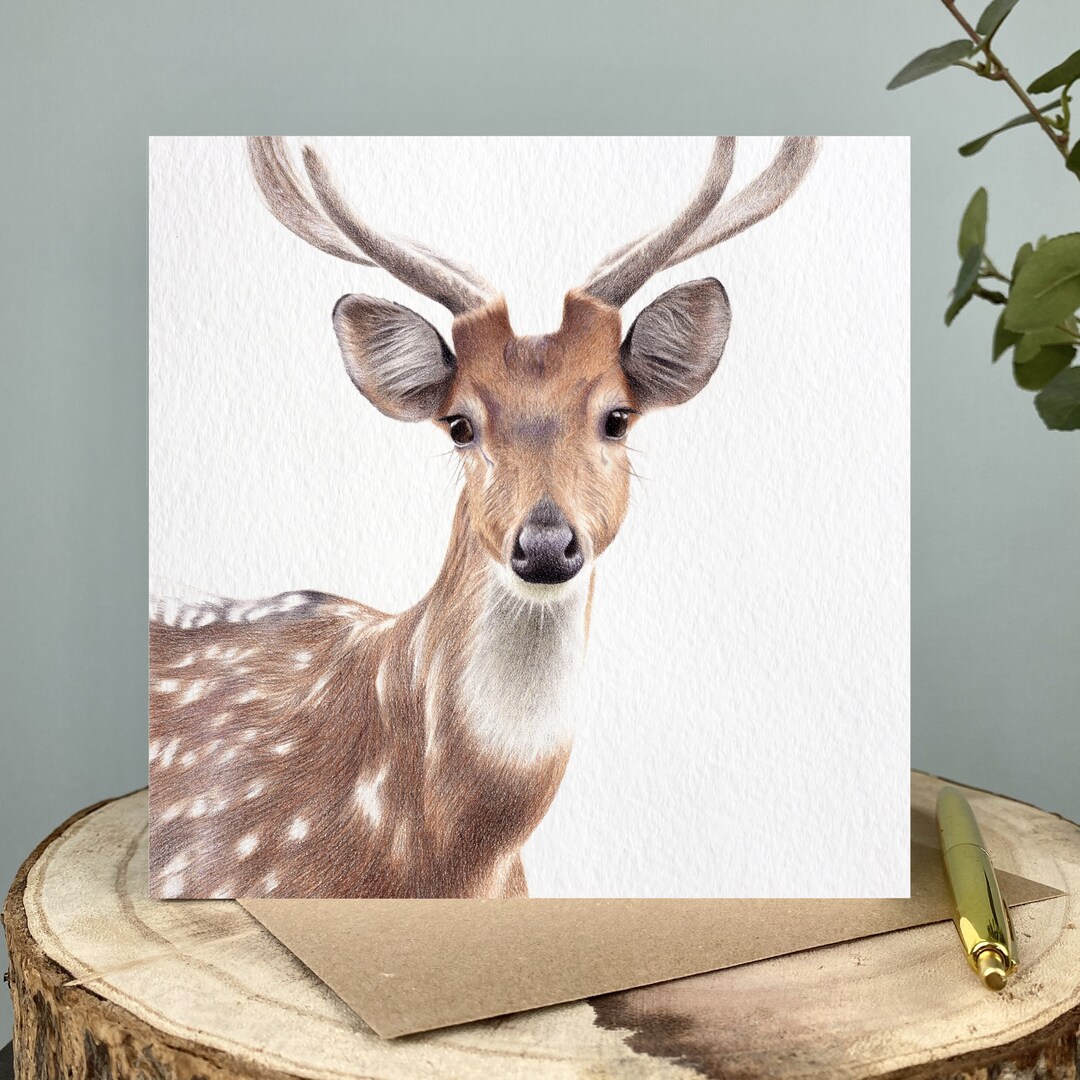 Deer Card Deer Greetings Card Chital Deer Card Spotted Deer Card ...