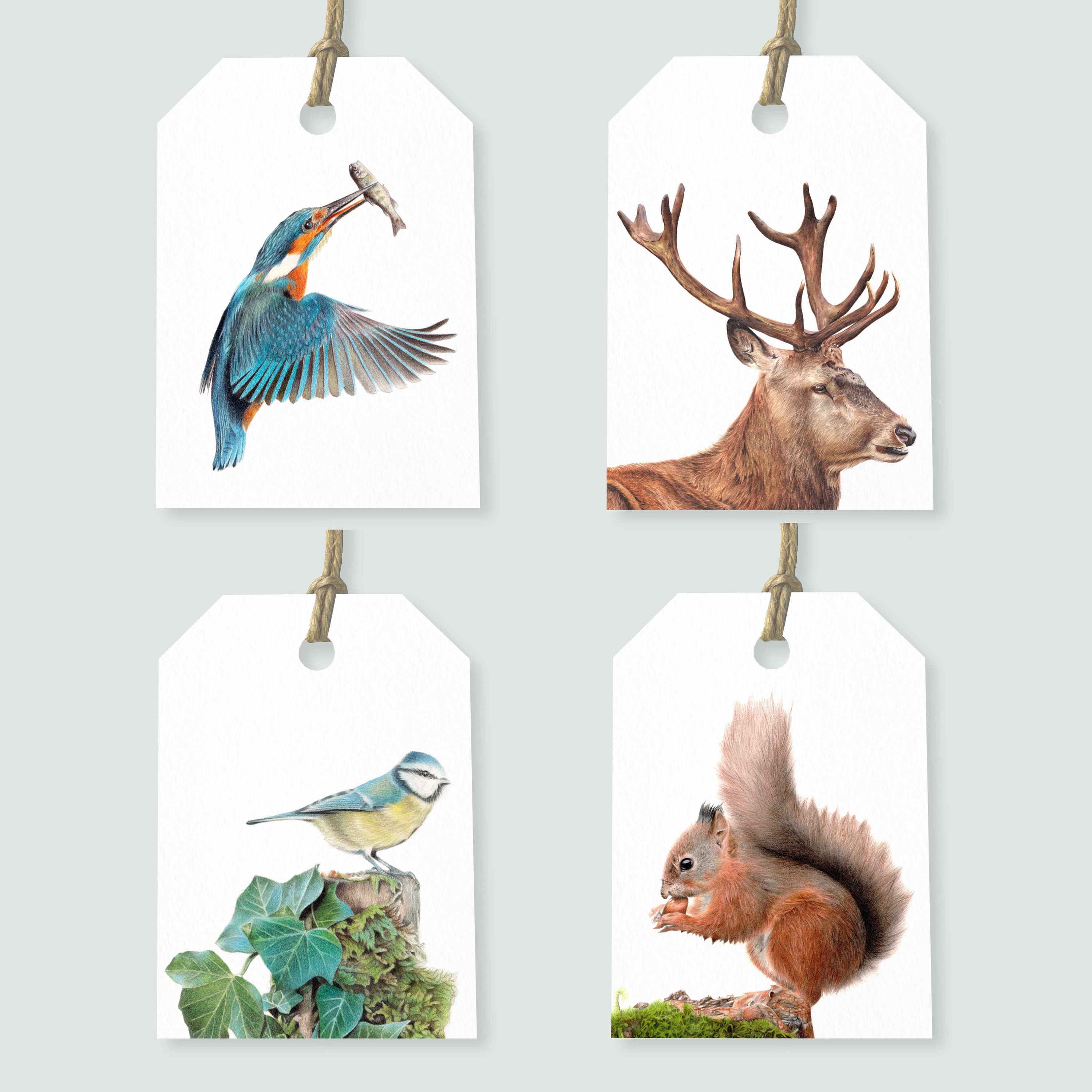 Wildlife Gift Tags Set of 4 | Set of 4 Gift Tags | Animal Gift Tags - Etsy