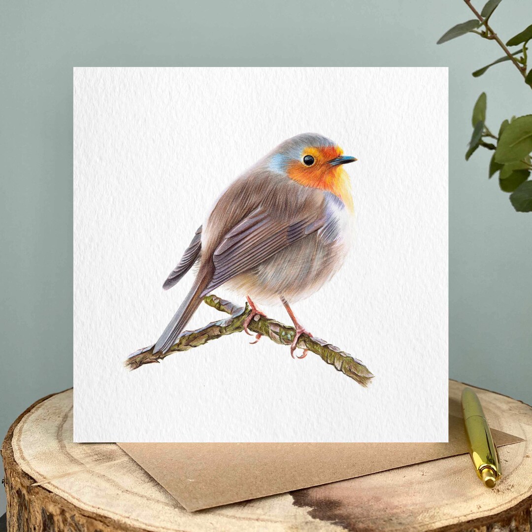 Robin Card Bird Card Robin Greetings Card Greetings Card Robin Birthday ...