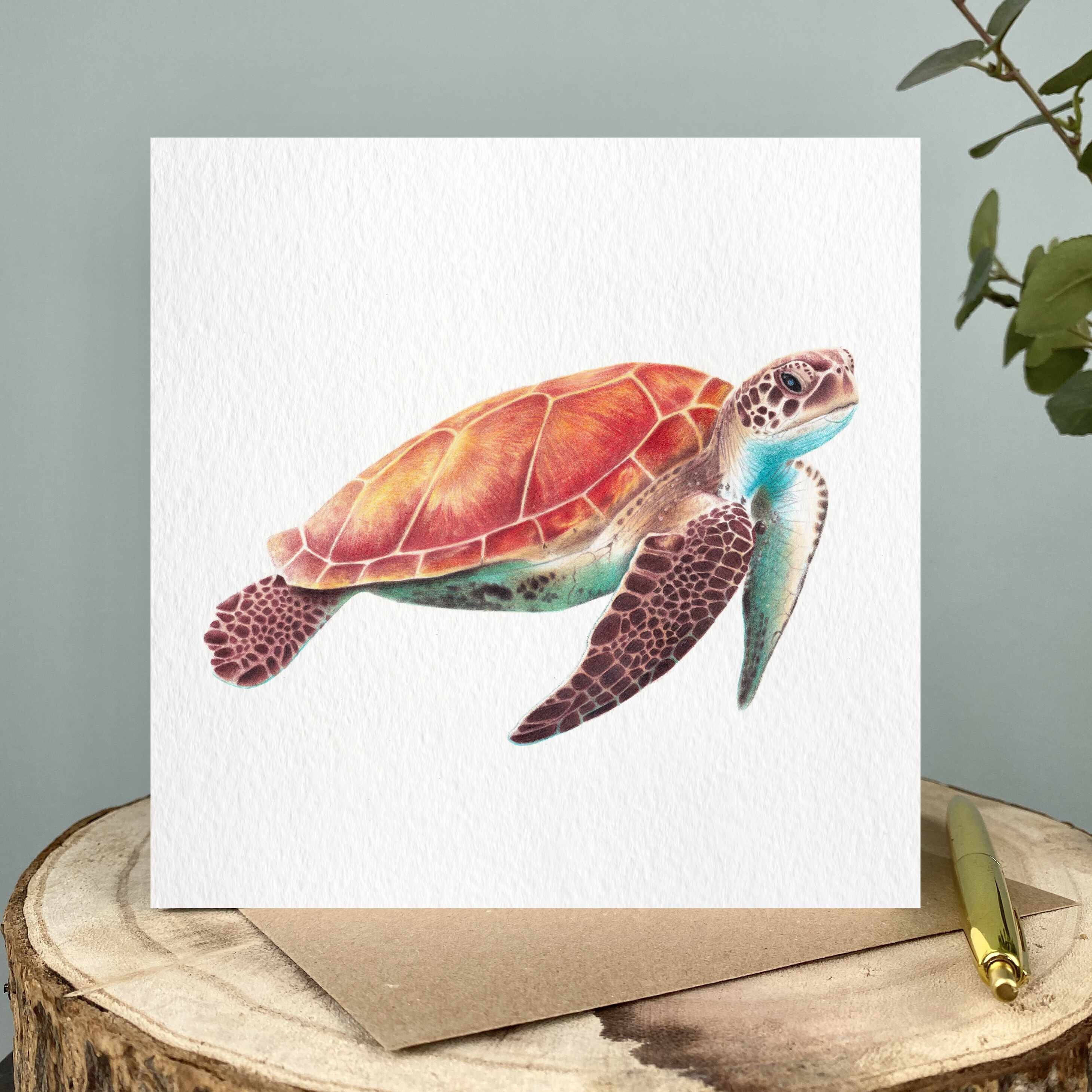 Turtle Card Turtle Greetings Card Turtle Birthday Card - Etsy