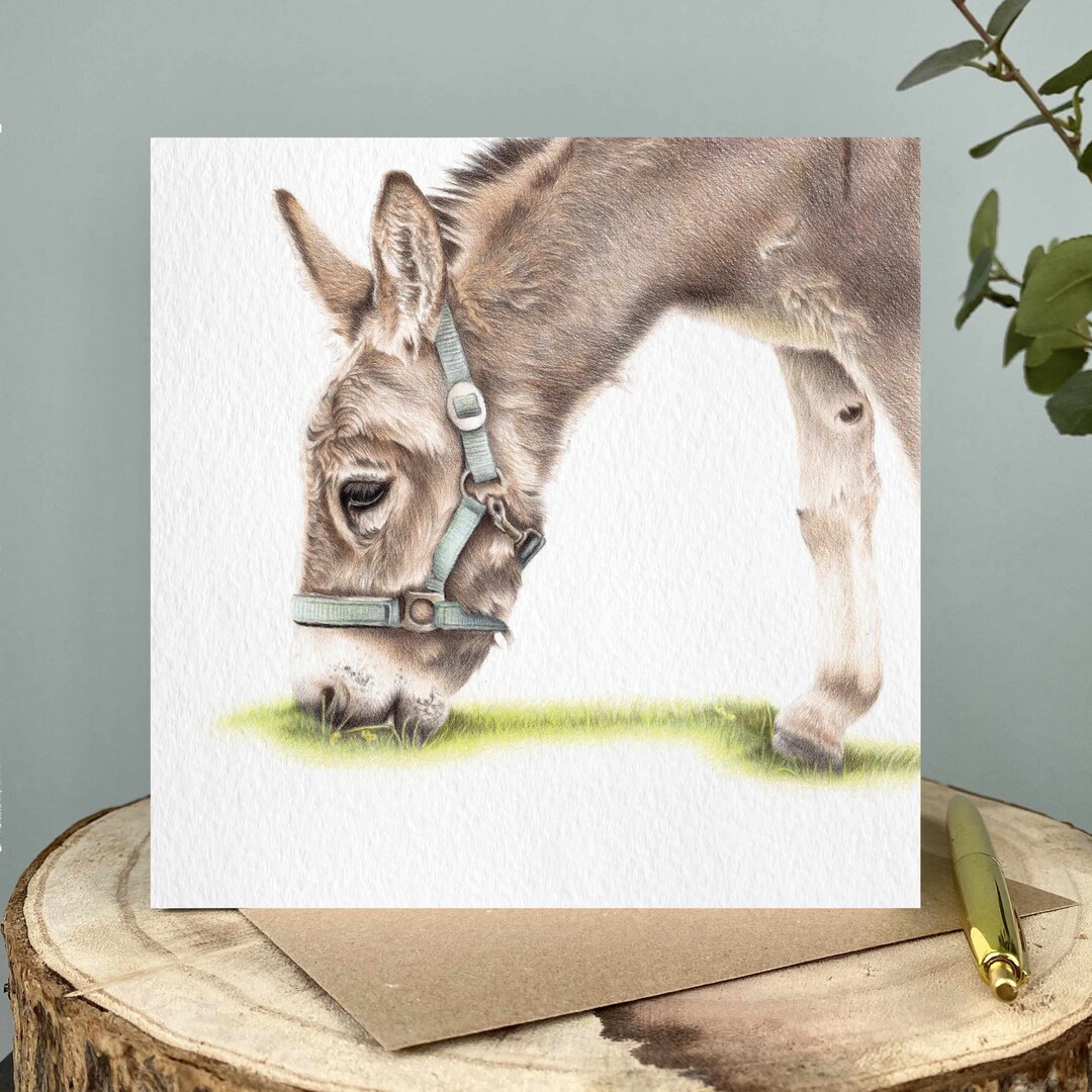Donkey Card | Donkey Greetings Card | Donkey Birthday Card | Blank ...