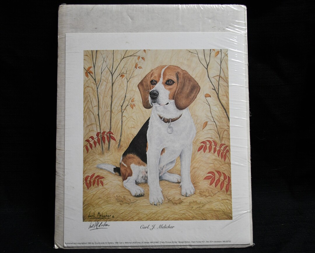 Vintage 1995 Carl J Melichar - " Pretty Princess Smiles" Beagle Babies ...
