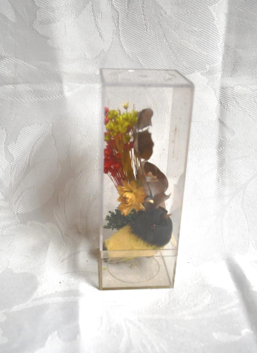 Vintage Amac Plastic Products Diorama Terrarium With Bird/dried Flowers ...