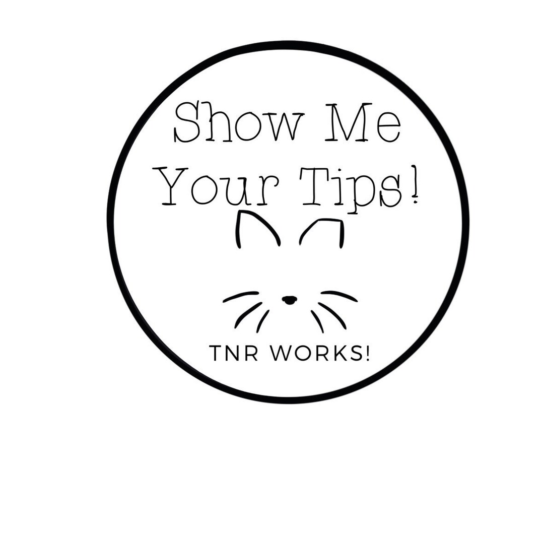 Show Me Your Tips Sticker - Etsy
