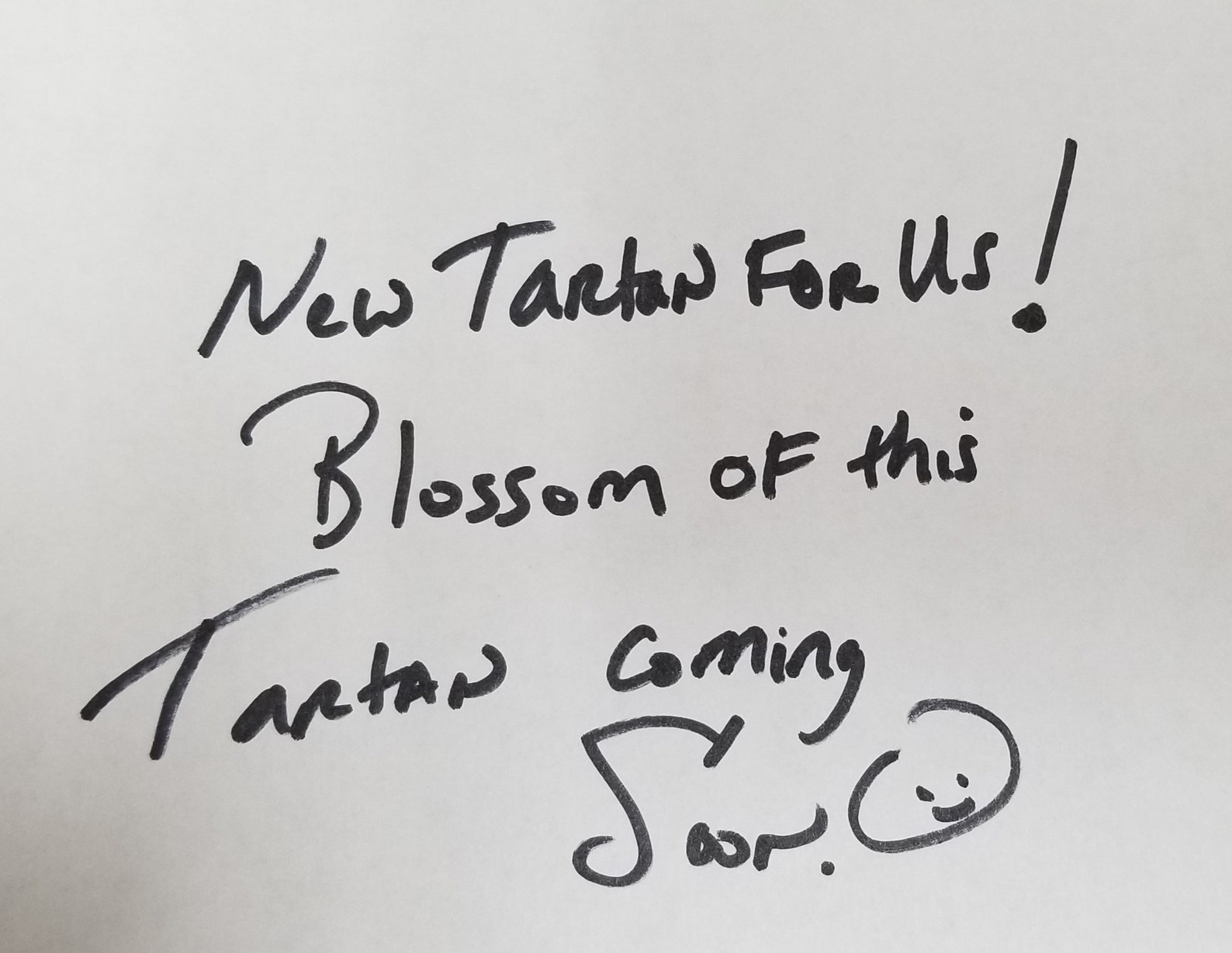 Macfarlane Hunting Ancient Tartan Scottish Blossom Wool - Etsy