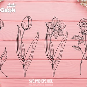 Single Flower SVG Bundle,flower Svg, Flowers Svg , Exotic Flowers Svg ...