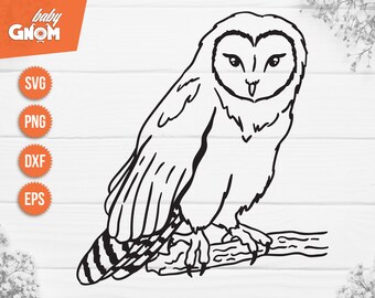 Cute Baby Owl SVG. Owl PNG. Owl DXF. Cricut Cut Files Layered - Etsy