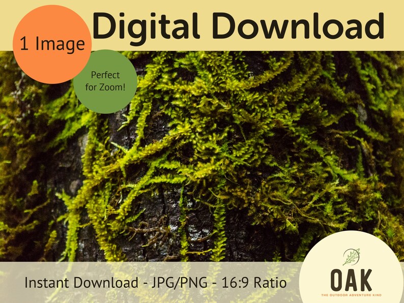 Spreading Moss Zoom Background Single Image Digital Download 4 - Etsy