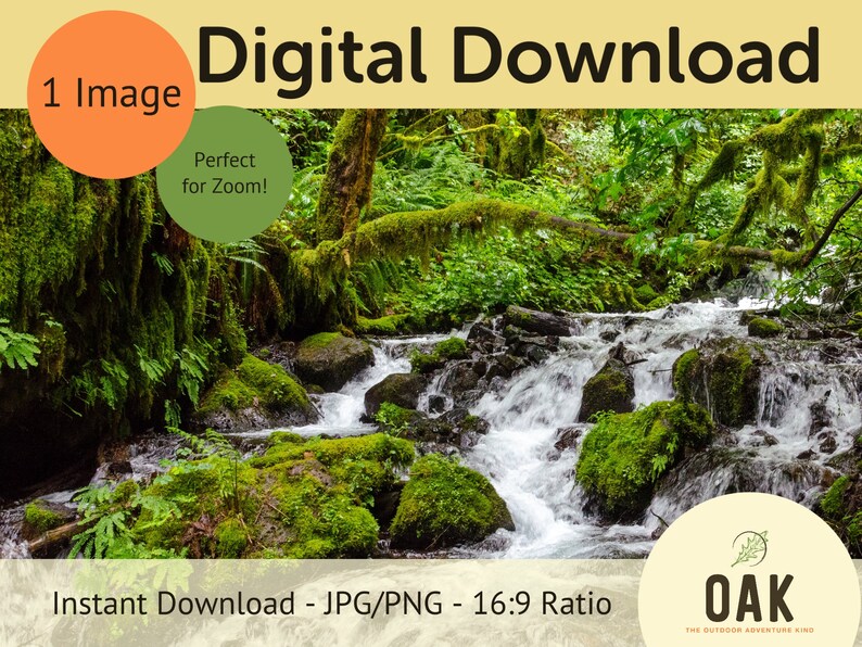 Small Forest Waterfall Zoom Background Single Image Digital - Etsy
