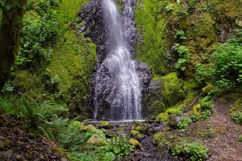 Nick Eaton Falls - Columbia River Gorge - 2016 - Photography Print - Etsy