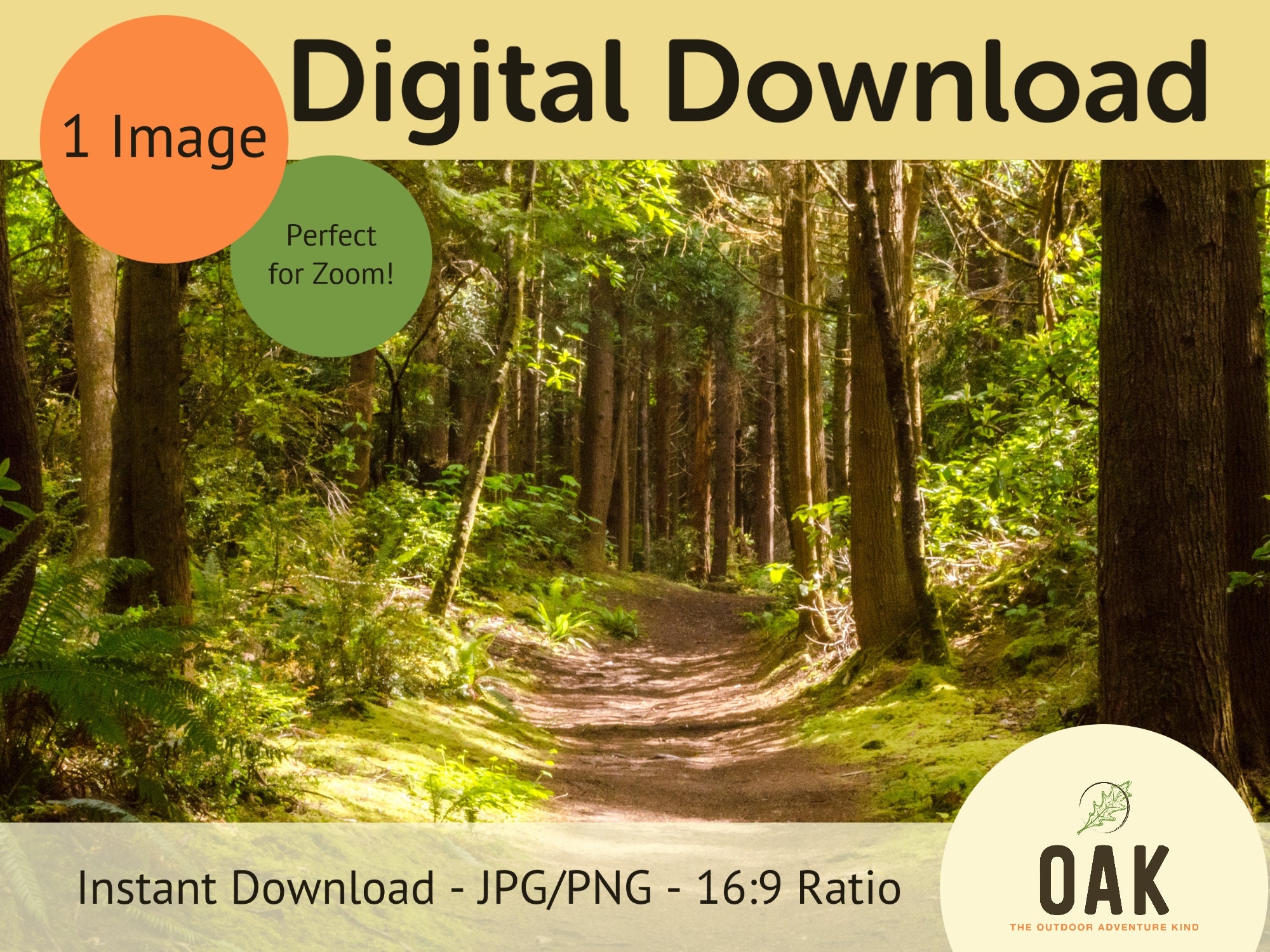 Bright Forest Trail Zoom Background Single Image Digital Download 9 - Etsy