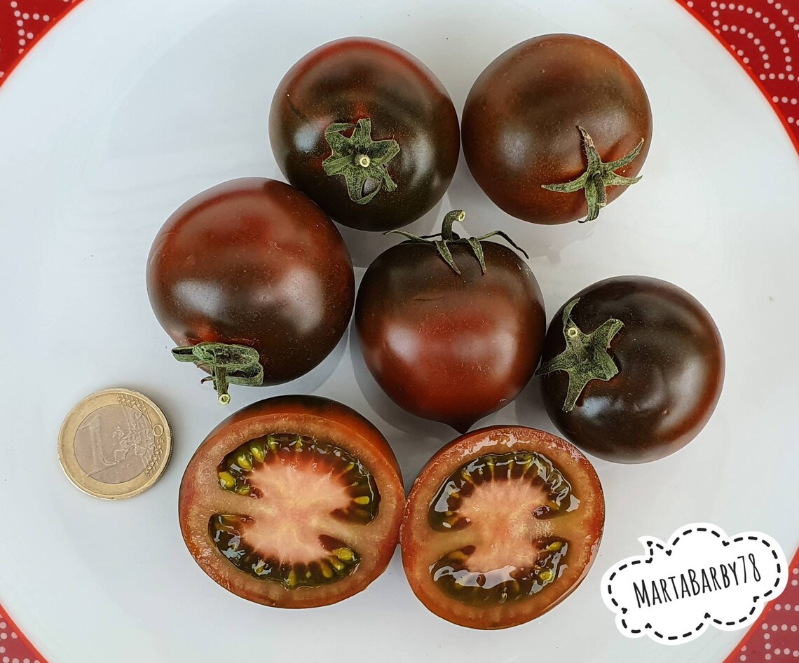 Pomodoro Camone Sardo Origine Italia Semi no OGM Orto BIO - Etsy Italia