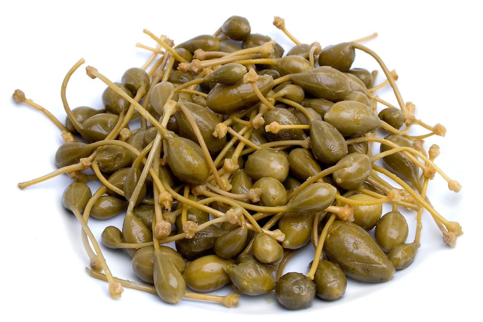 Cappero Capparis Spinosa Semi Bio commestibile fiore rosa - Etsy Italia