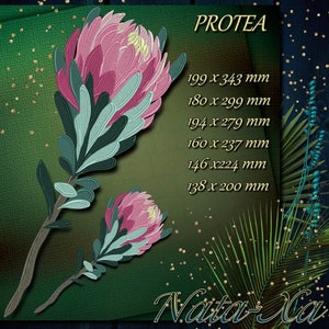 Protea Flower Machine Embroidery Design Tropics Series 6 Sizes to ...