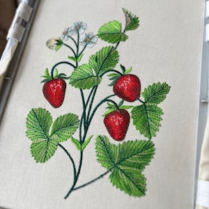Strawberry Machine Embroidery Design 3 Sizes to Download Fit 6x9 ...
