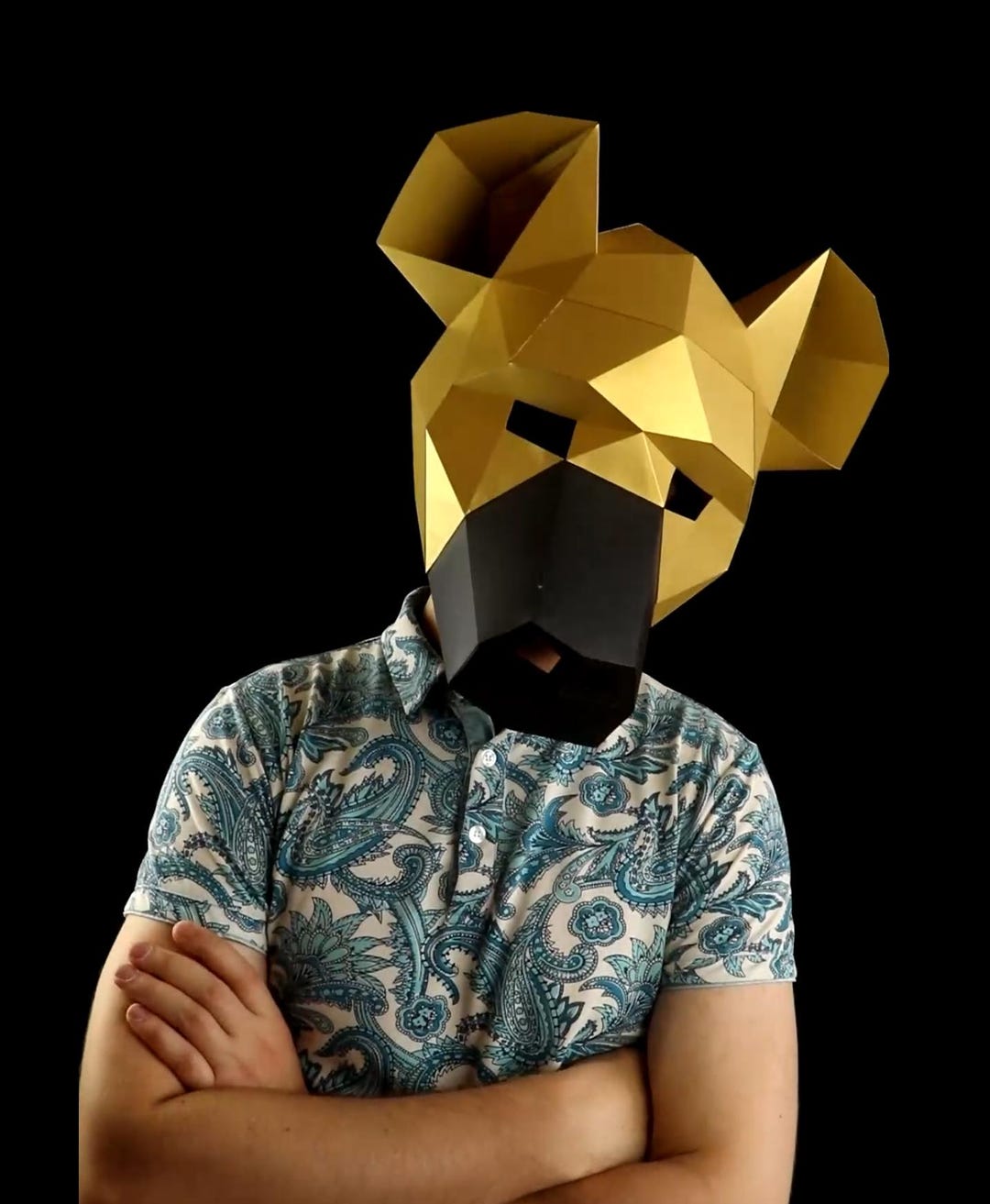 Hyena Low Poly Mask, DIY Paper Craft Mask Hyena, PDF Template for 3D ...