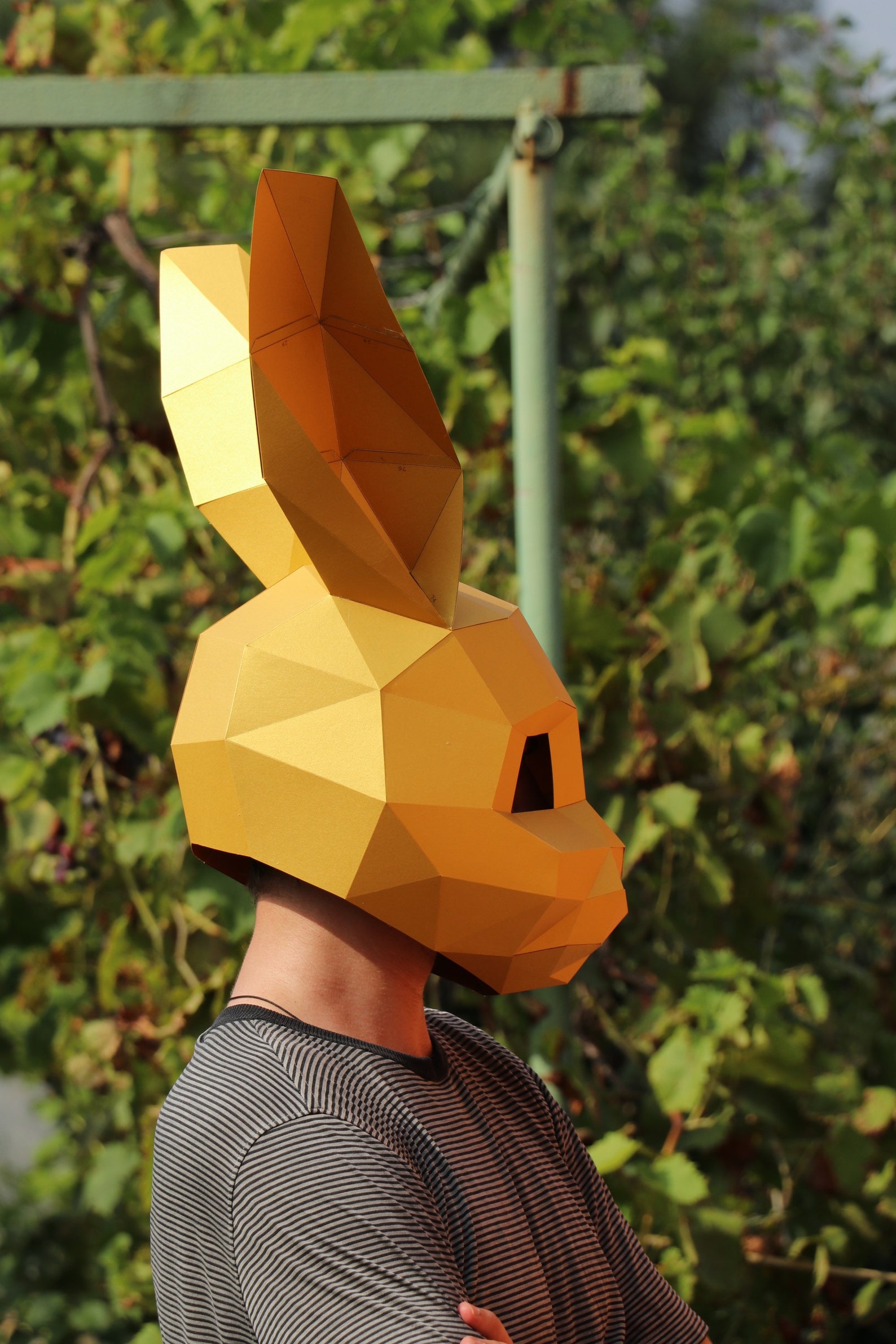 Hare Mask PDF Template DIY Rabbit Mask DIY Hare Mask - Etsy