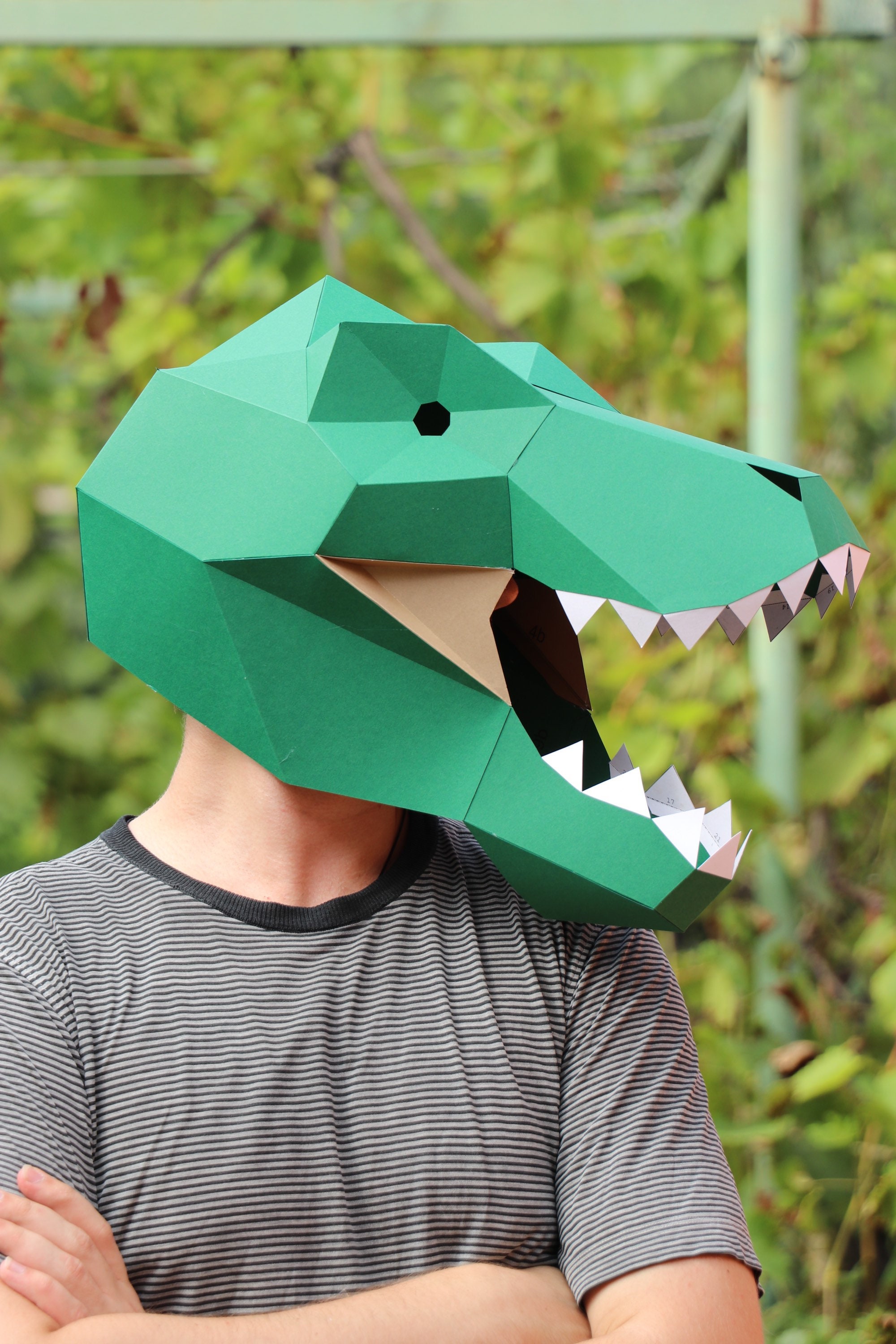 T-rex Low Poly Mask DIY Paper Craft Mask Dinosaur PDF - Etsy Canada