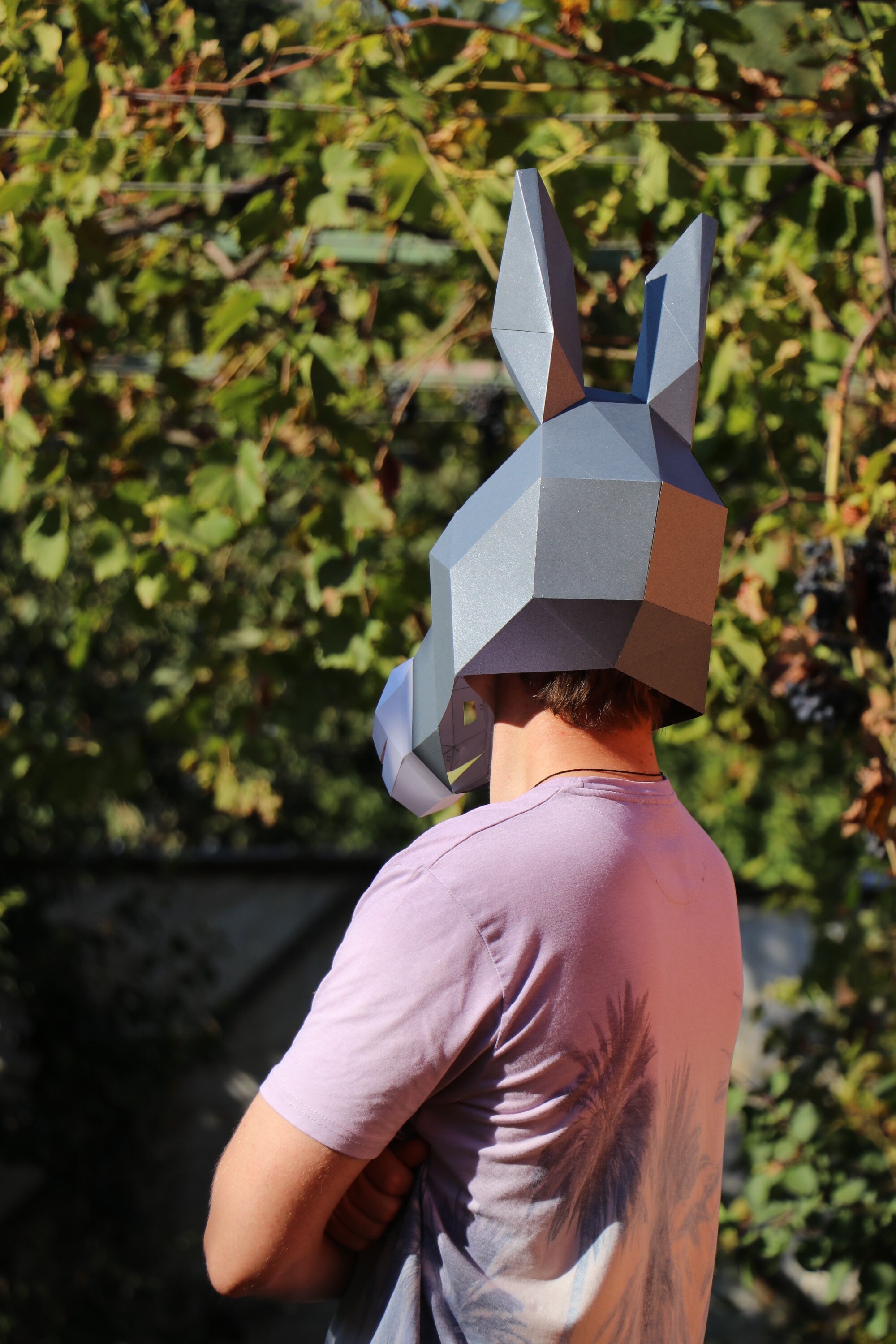 Donkey Mask DIY: Low Poly Paper Craft Template (PDF) - Etsy